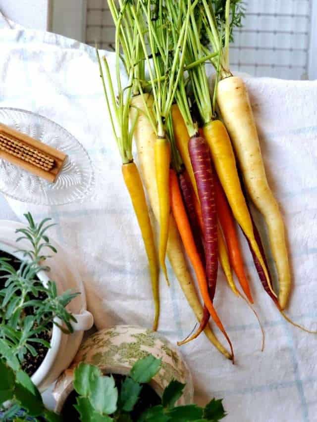 Roasted Tri Color Carrots Recipe with Maple Honey Glaze - Grace In My Space