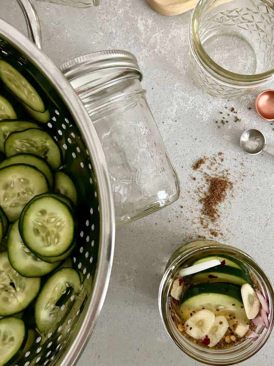 Flavorful, Quick Pickled Cucumbers and Red Onions - Grace In My Space
