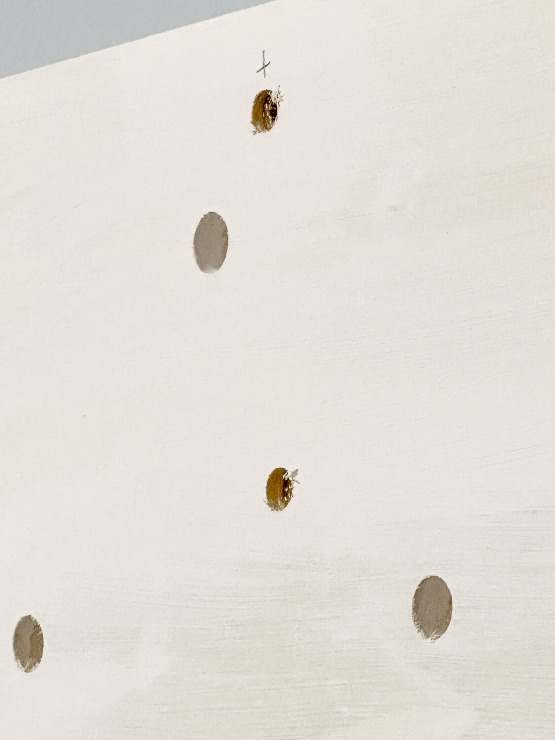 Easiest Way to Make a Custom Peg Rail Yourself - Grace In My Space