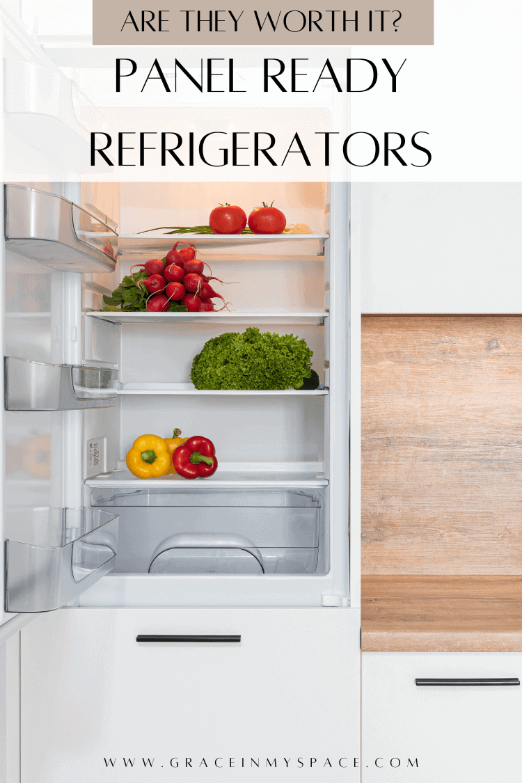 Pros & Cons of a Refrigerator that Looks Like a Cabinet - Grace In My Space