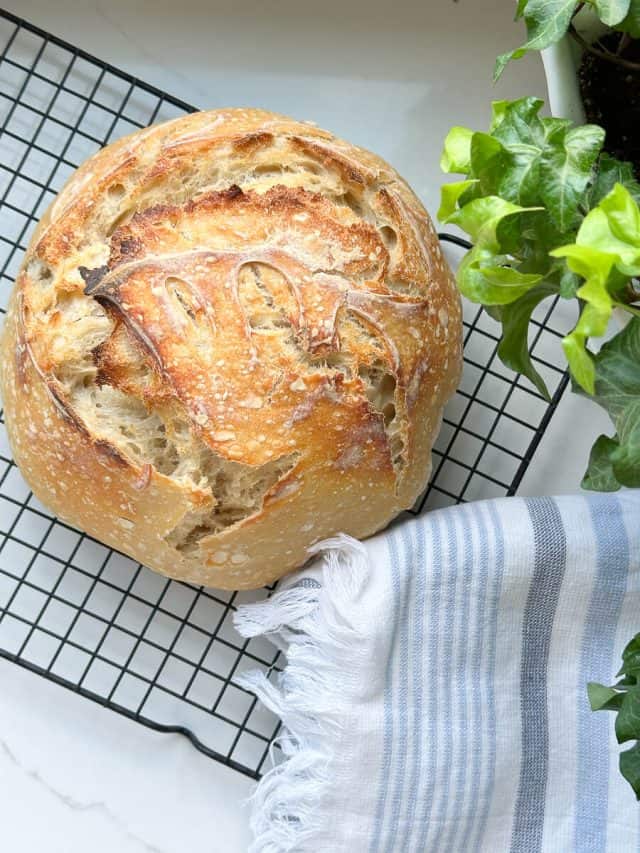 No-Knead Loaf Pan Sourdough Bread Recipe (With Baking Schedule) - Grace ...