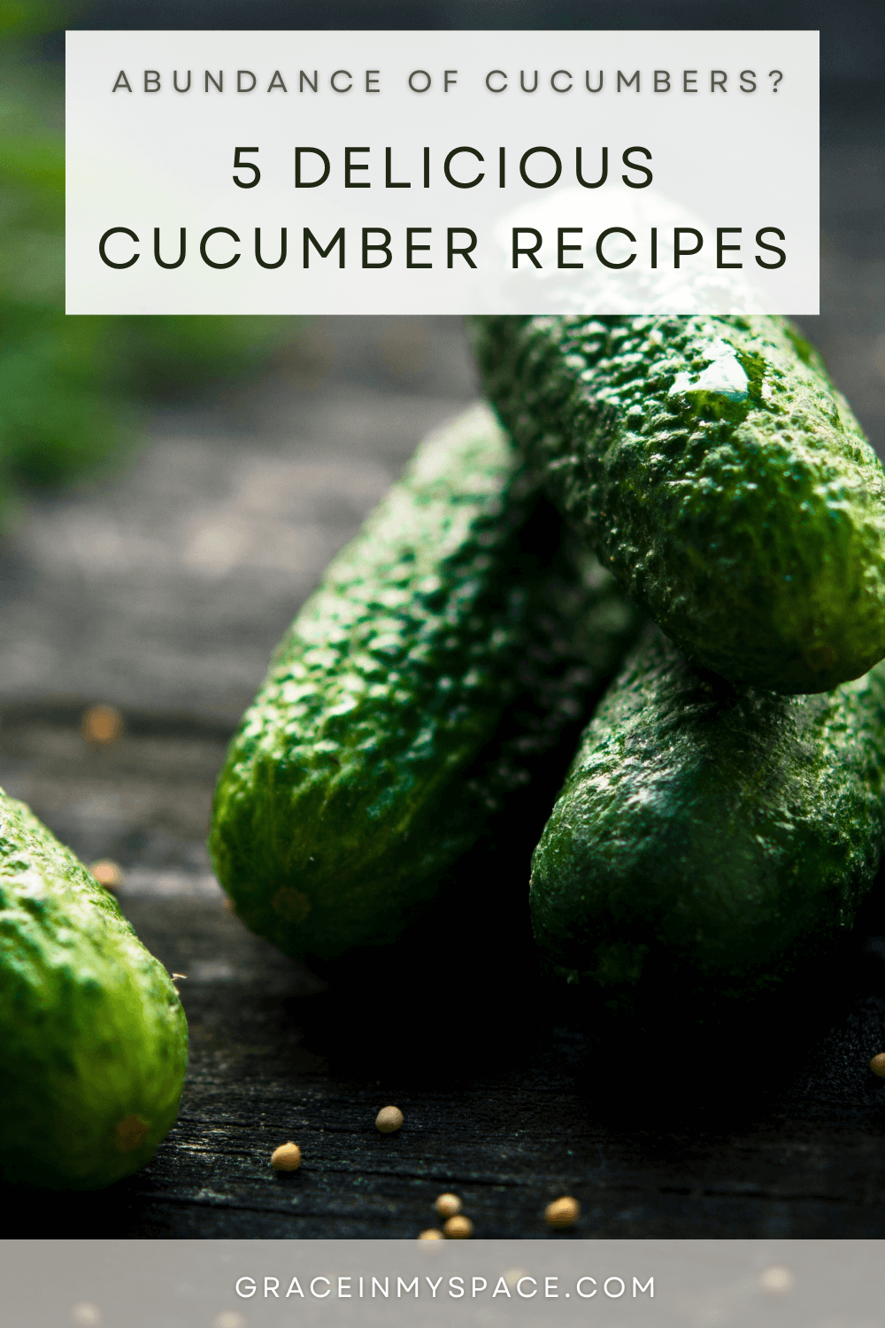 Wondering What To Do With a Lot of Cucumbers? 5 Recipe Ideas - Grace In ...
