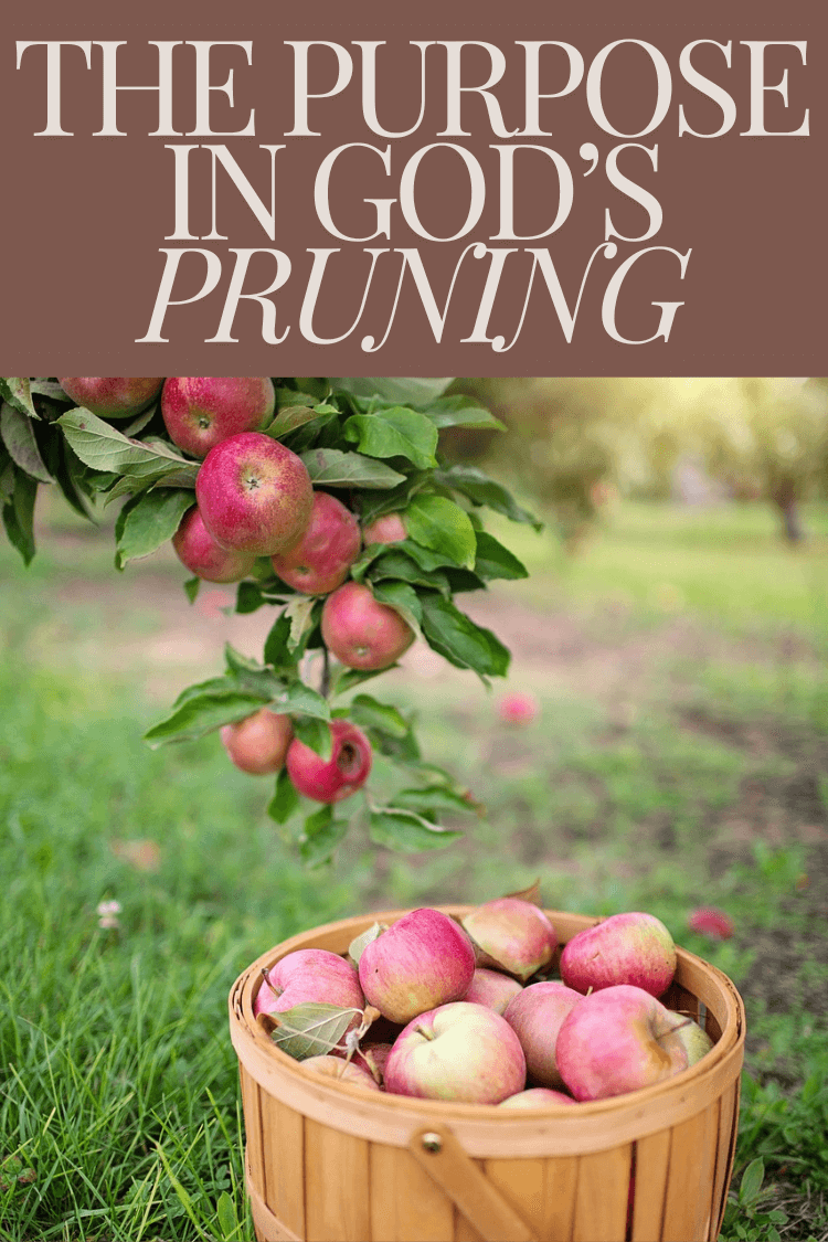 What is the Purpose of God's Pruning? - Grace In My Space